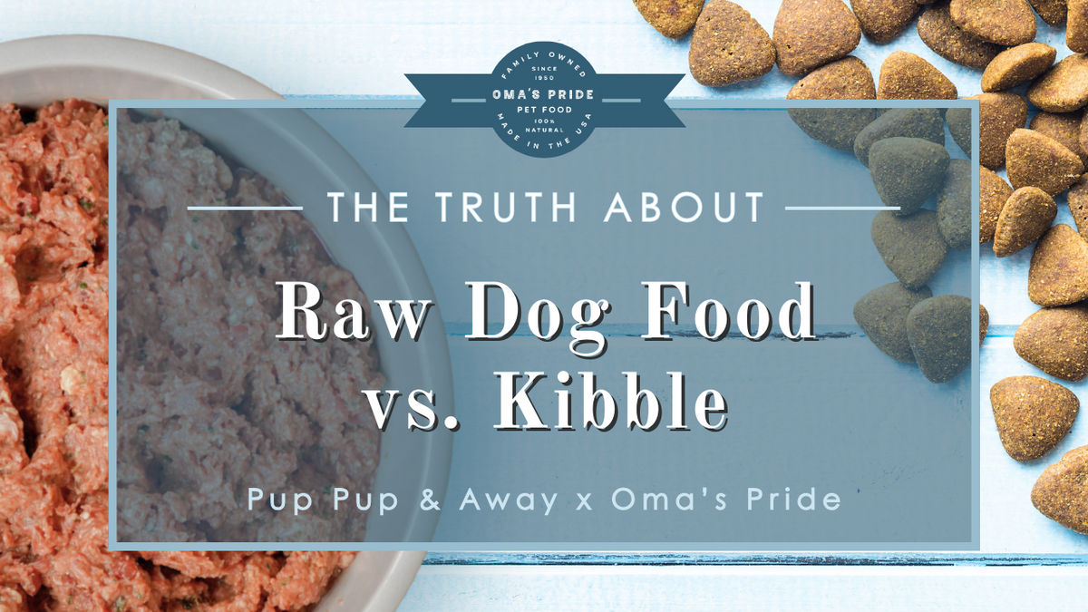 The Truth About Raw Food Vs Kibble For Dogs