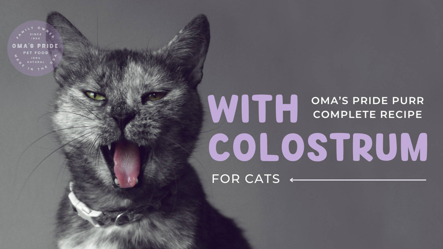 7 Amazing Benefits of Colostrum for Cats to Know