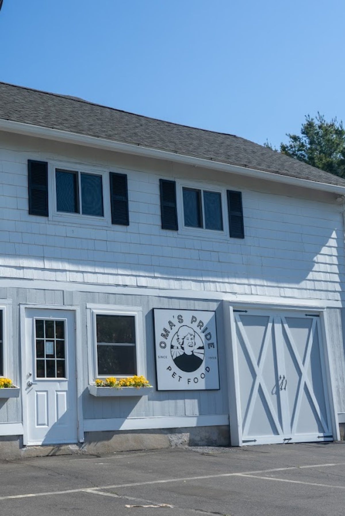 The Ultimate Guide to Green Tripe for Dogs